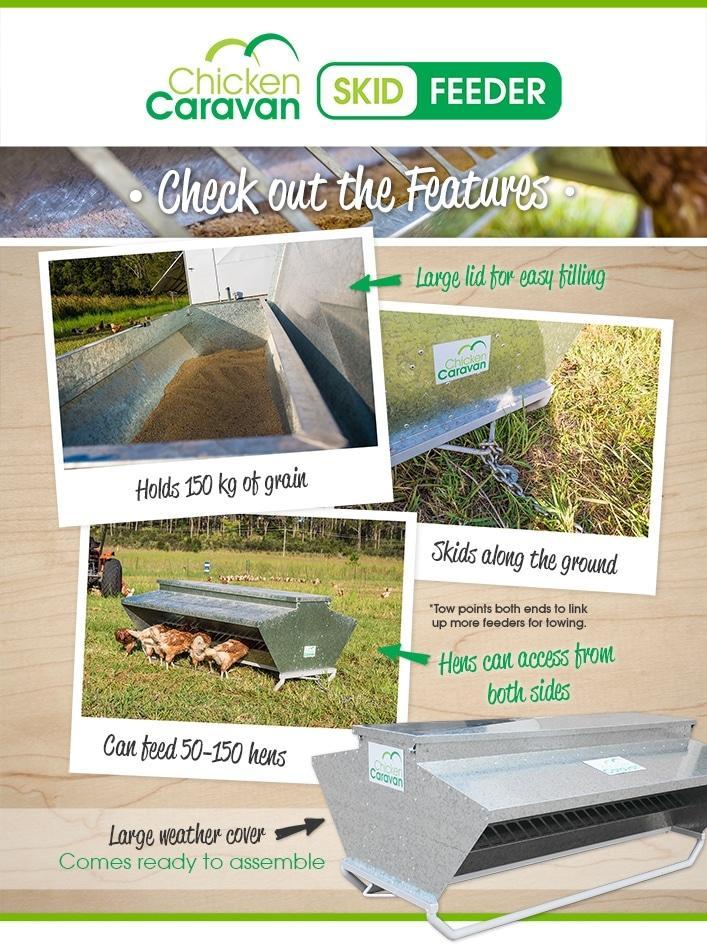 Chicken Caravan Skid Feeder