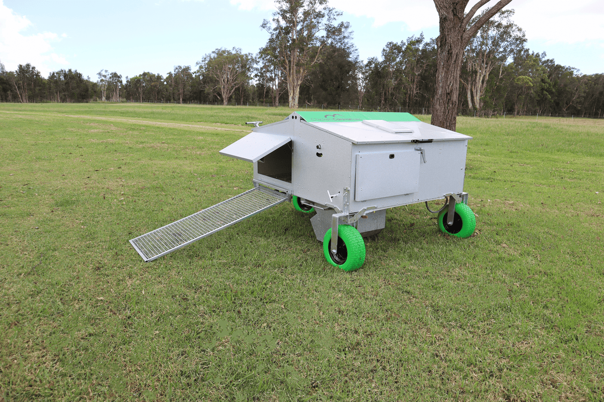 Chicken Caravan 30 - Gen 5 (Flat Pack)