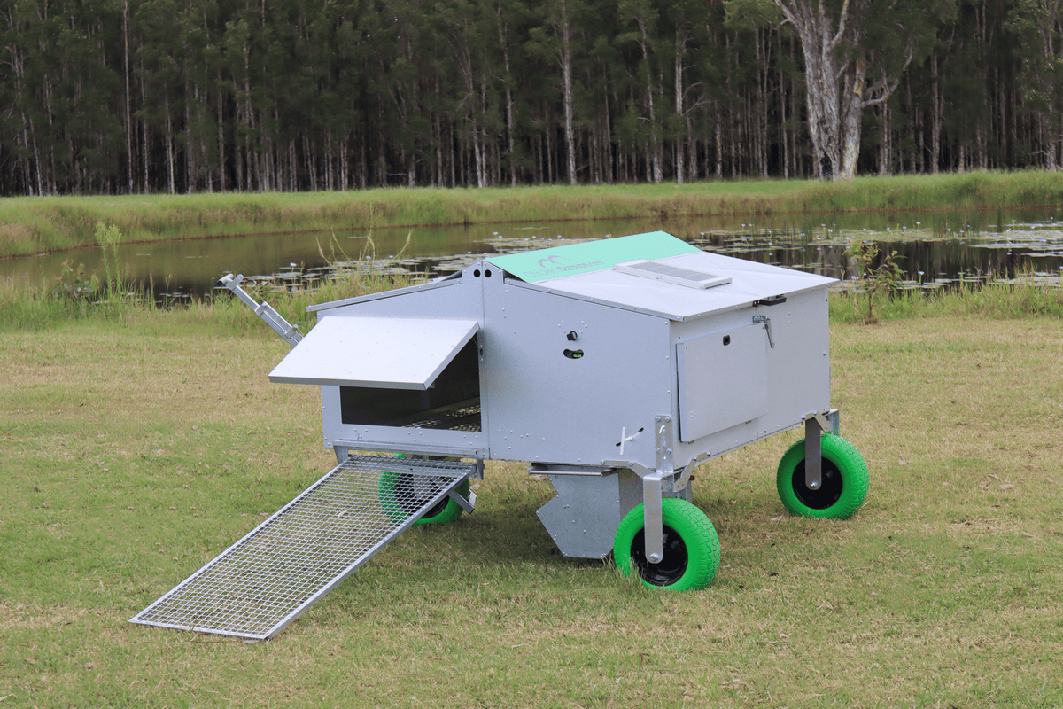 Chicken Caravan 30 - Gen 5 (Flat Pack)