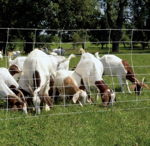 Premier 1 Electric Sheep and Goat Fence 50m (+/- 0.5m) – Chicken Caravan