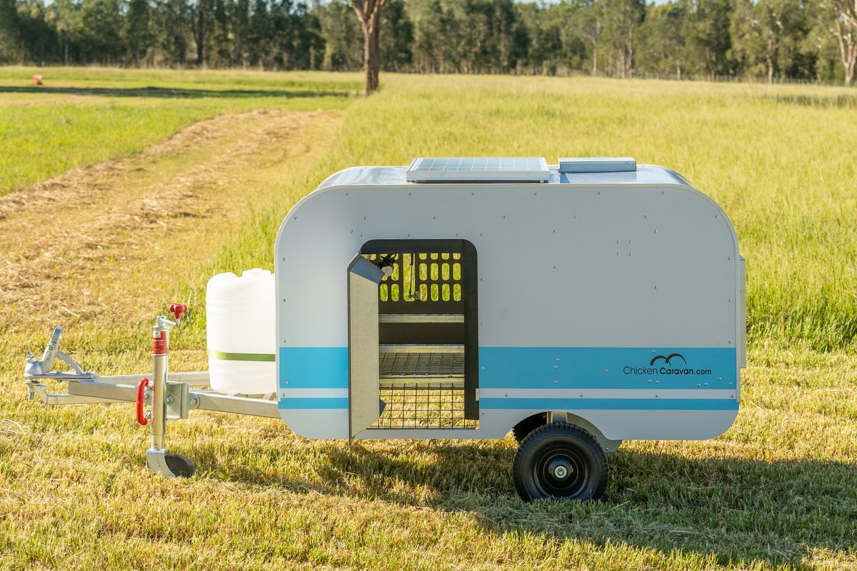 Chicken Caravan 10 - Blue