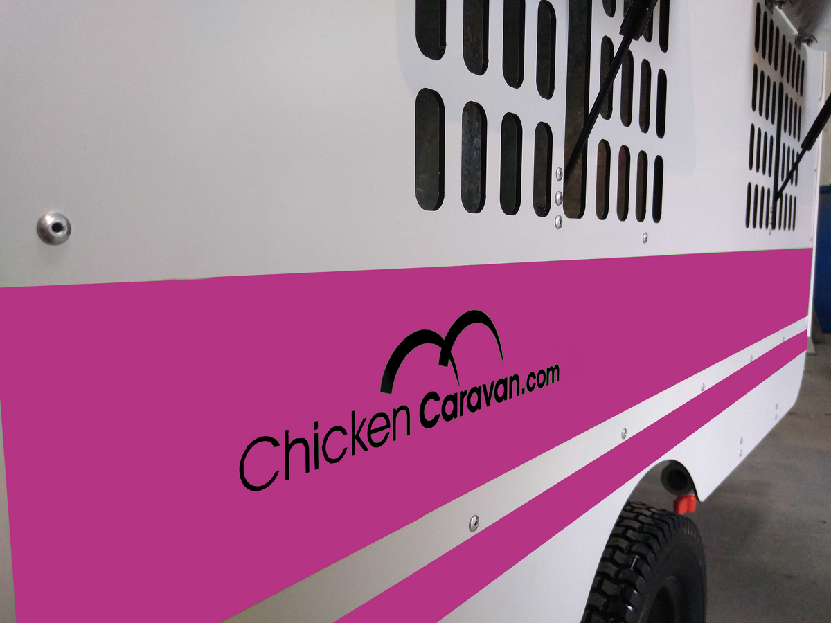 Chicken Caravan 10 - Pink